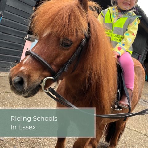 Horse Riding Schools – In Essex – IngatestoneSaddlery